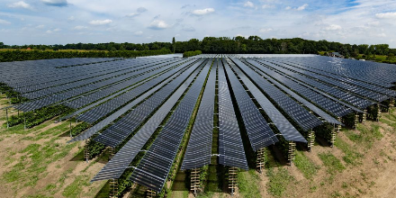 Agro-PV-Anlage verbessert Anbaubedingungen für Obstbau
