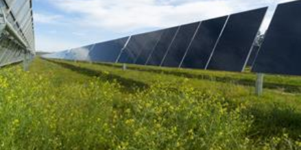 Scout Clean Energy bestellt: First Solar erhält US-Auftrag über 378 MW ...